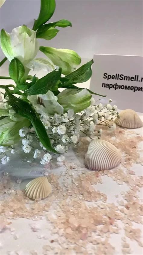 Купить духи Rock Star Carner Barcelona — женская парфюмерная вода и ...