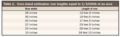 When Does Replant Corn Pay
