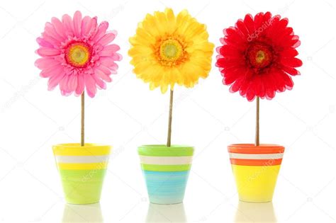 Lucky flowers Stock Photo by ©gunnar3000 3028621