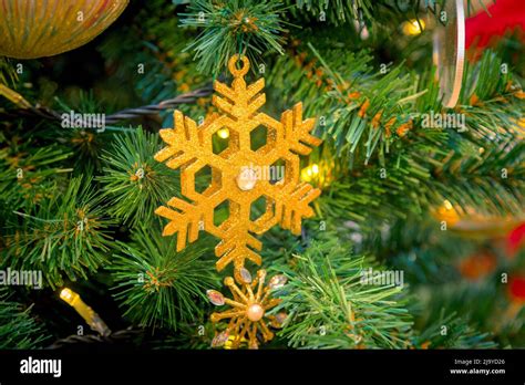Why Do We Use Fir Trees For Christmas At Kathy Morelli Blog