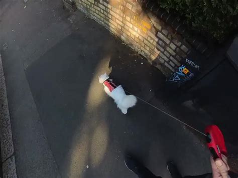 Sigrid Is More Of A Stop And Smell The Weeds Kind Of Girl When Shes Out For A Walk Album