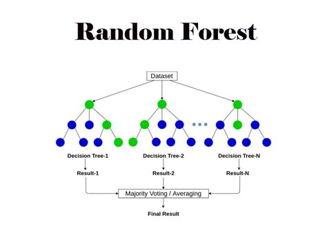 Difference Between Random Forest And Decision Tree