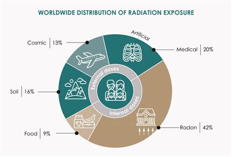 Radiation Impact On Health And Prevention Of Its Effects Circe Scientific