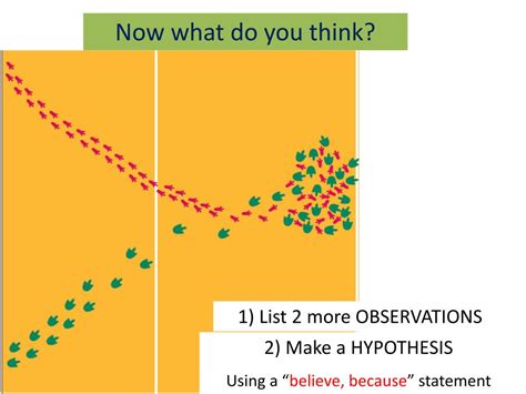Ppt Inquiry What Is The Difference Between An Observation And A