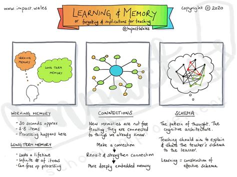 The Four Stages Of Learning Memory In An Art Class