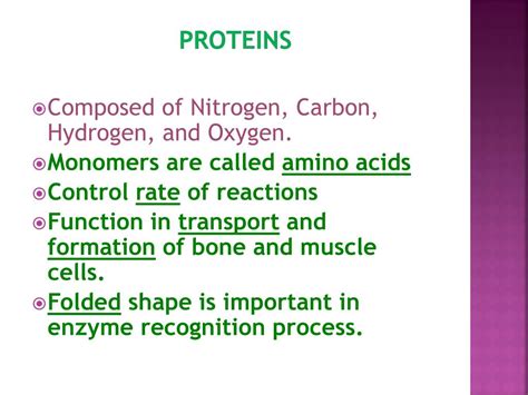 Ppt Monomer Polymer Carbohydrate Lipid Nucleic Acid Protein