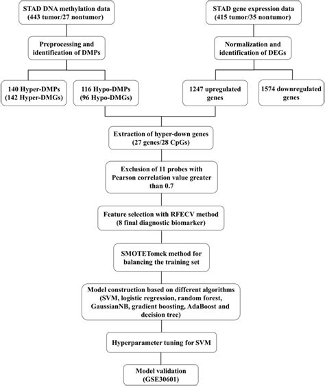 The Workflow For Identification Of Stad Diagnostic Biomarkers