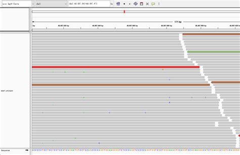 Umi Issue Opengene Gencore Github