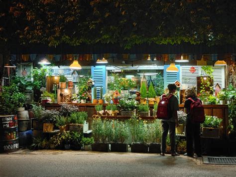 Cú Trên Cây Coffee Quán Cà Phê Với Không Gian Xanh độc đáo