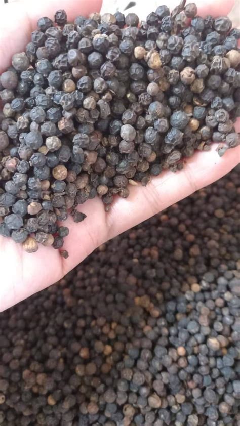 Wheat Flour From Cassava Hs Code 11062010 Inaexport