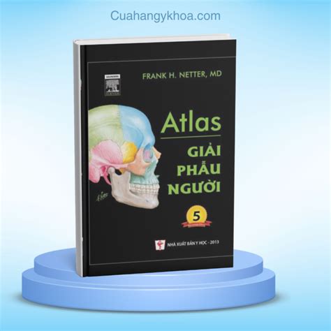 Atlas Giải Phẫu Người Netter 2013 Tài Liệu Y Khoa Miễn Phí