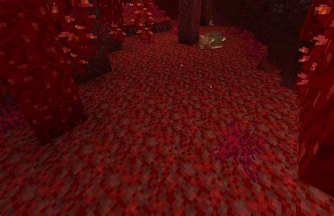 Nylium Block In Minecraft