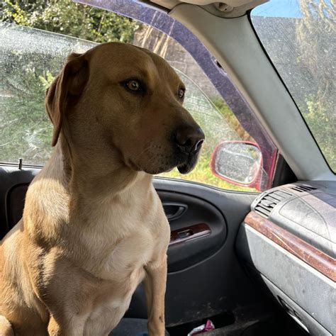 Mc Frank Murtagh Rip 𝐒𝐞𝐜𝐨𝐧𝐝 𝐀𝐧𝐧𝐢𝐯𝐞𝐫𝐬𝐚𝐫𝐲 In Loving Memory Of Frank