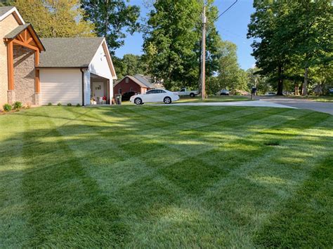 Tall Fescue The Lawn Institute