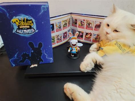 Nhật Cường Nguyễn On Linkedin Gamedevelopment Qualityassurance Rabbidslegendsofthemultiverse