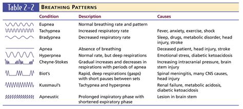 Respiratory Breathing Patterns