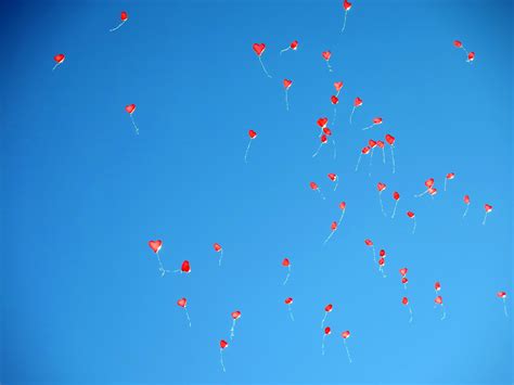 무료 이미지 하늘 축하 애정 심장 빨간 로맨스 낭만적 인 푸른 흙손 장난감 세상에 알리다 풍선 헬륨