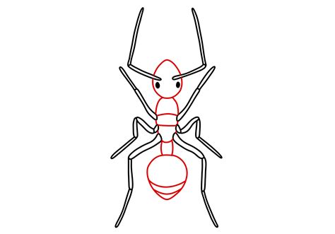 how to draw an ant design school