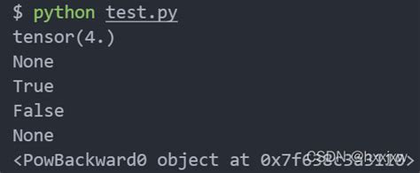 Pytorch 叶子张量 Leaf Tensor 叶子节点 Detachpytorch 叶子节点 Csdn博客