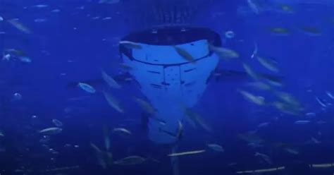 Breakthrough Sonar Technology Revolutionizes Underwater Object Detection Maritime Technology