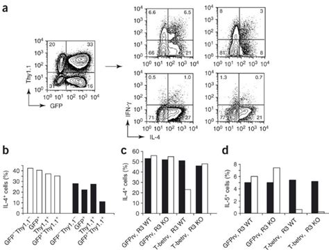 Transcription Factors T Bet And Runx3 Cooperate To Activate Ifng And