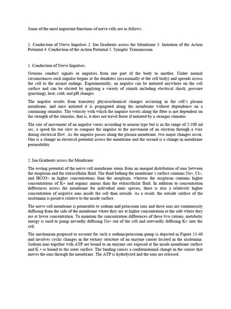 Functions Of Nerve Cells Pdf Action Potential Chemical Synapse