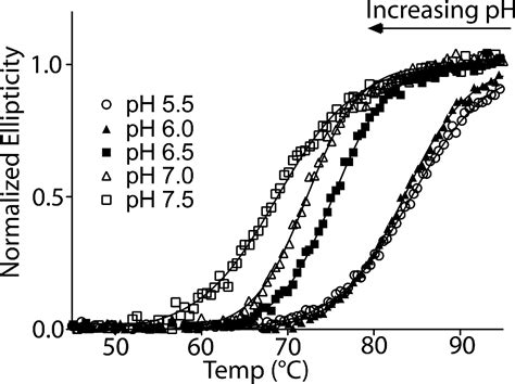 Figure 1 From In Vitro Phosphorylation Of The Focal Adhesion Targeting Domain Of Focal Adhesion