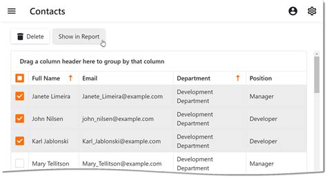 In Place Reports XAF Cross Platform NET App UI Web API