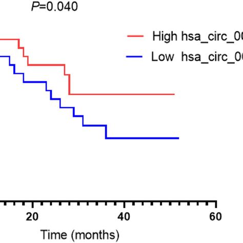 Analysis Of The Survival Curves Of Hsa Circ 0079598 In Gc Download Scientific Diagram
