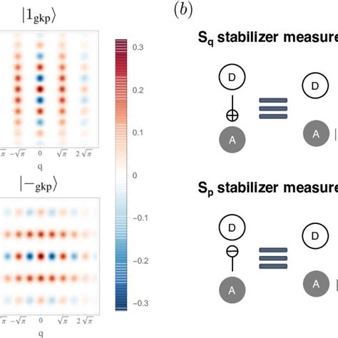 A Computational Basis States 0 Gkp 1 Gkp And Complementary Download Scientific Diagram