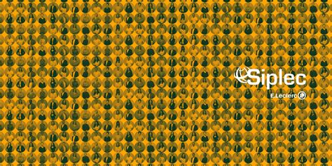 Siplec Eleclerc Linkedin