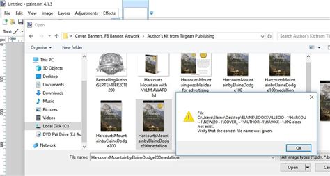 Image Files That Do Exist And Can Be Opened In Other Software Are Not Seen By Paint Net Paint