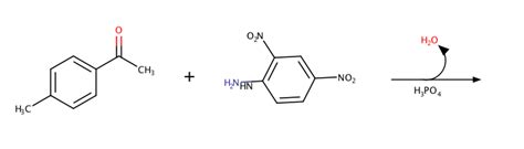 Solved Synthesis Of 2 4 Dinitrophenylhydrazone