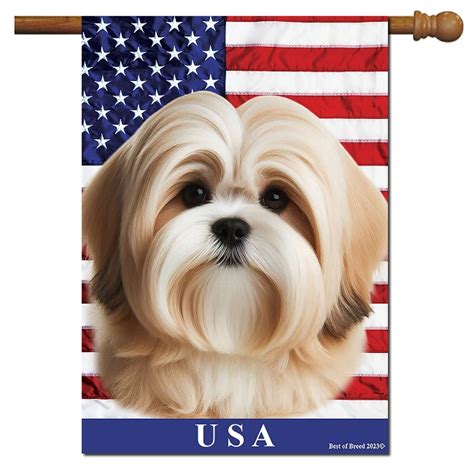 Lhasa Apso Flag Cream Sable Usa Large