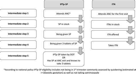 Intermediate Steps In The Delivery Of Iptp Sp And Itn Through Antenatal
