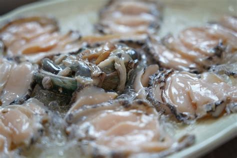 제주 전복회 완전 쫀득 연미정 네이버 블로그