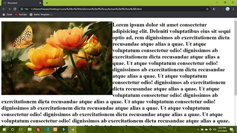 css lecture 8 youtube