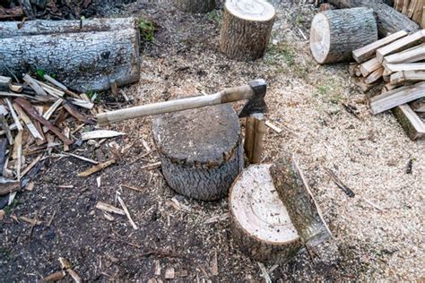 Pollaxe Bilder Bläddra Bland 3 007 Stockfoton Vektorer Och Videor