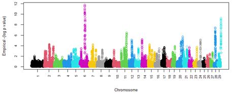 Manhattan Plot Of Empirical Log P Values Using Genomic Regions Of 12