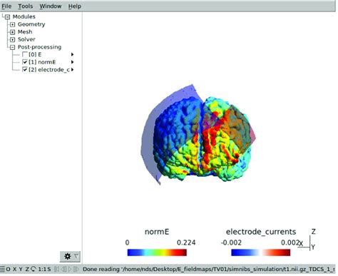 Estimated Electrical Field For TDCS Stimulation Using SimNIBs Download Scientific Diagram