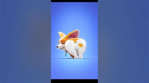 Flying Dog Mocos Homepage Store Account Douyin2 Youtube