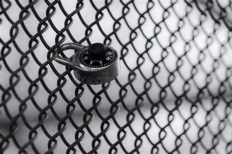Lock On Chain Link Fence Full Frame Backgrounds Metaphor Security Password Protection Safety