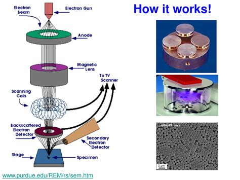Ppt Lecture 3 Scanning Electron Microscopy Powerpoint
