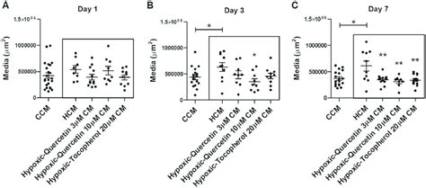 Placental Hcm Increases The Vascular Cross Sectional Area Of The Media Download Scientific