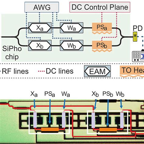 Linear Operator Architecture And Tmm A N × M Crossbar Architecture Download Scientific