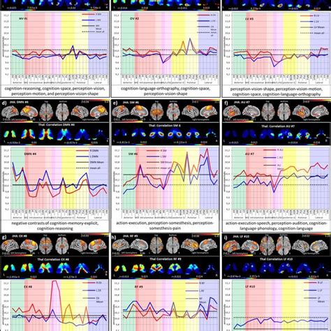 Cortico Thalamic Connectivity Of 9 Cortical Rsn Each Subplot Depicts Download Scientific