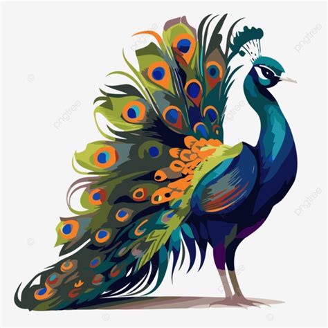 Colorful Peacock Vector Sticker Clipart An Illustration Of A Colorful Peacock Cartoon Sticker