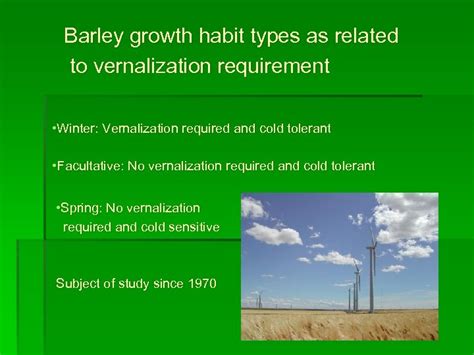 Vernalization Gene Architecture As A Predictor Of Growth