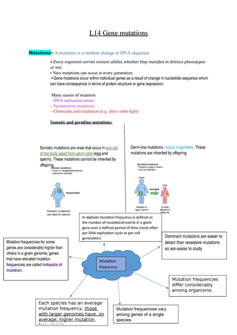L14 Gene Mutations Lecture Notes Lecture 14 L14 Gene Mutations Mutations A Mutation Is A