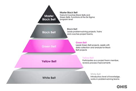 Mastering Efficiency And Quality Unveiling The Power Of Lean Six Sigma